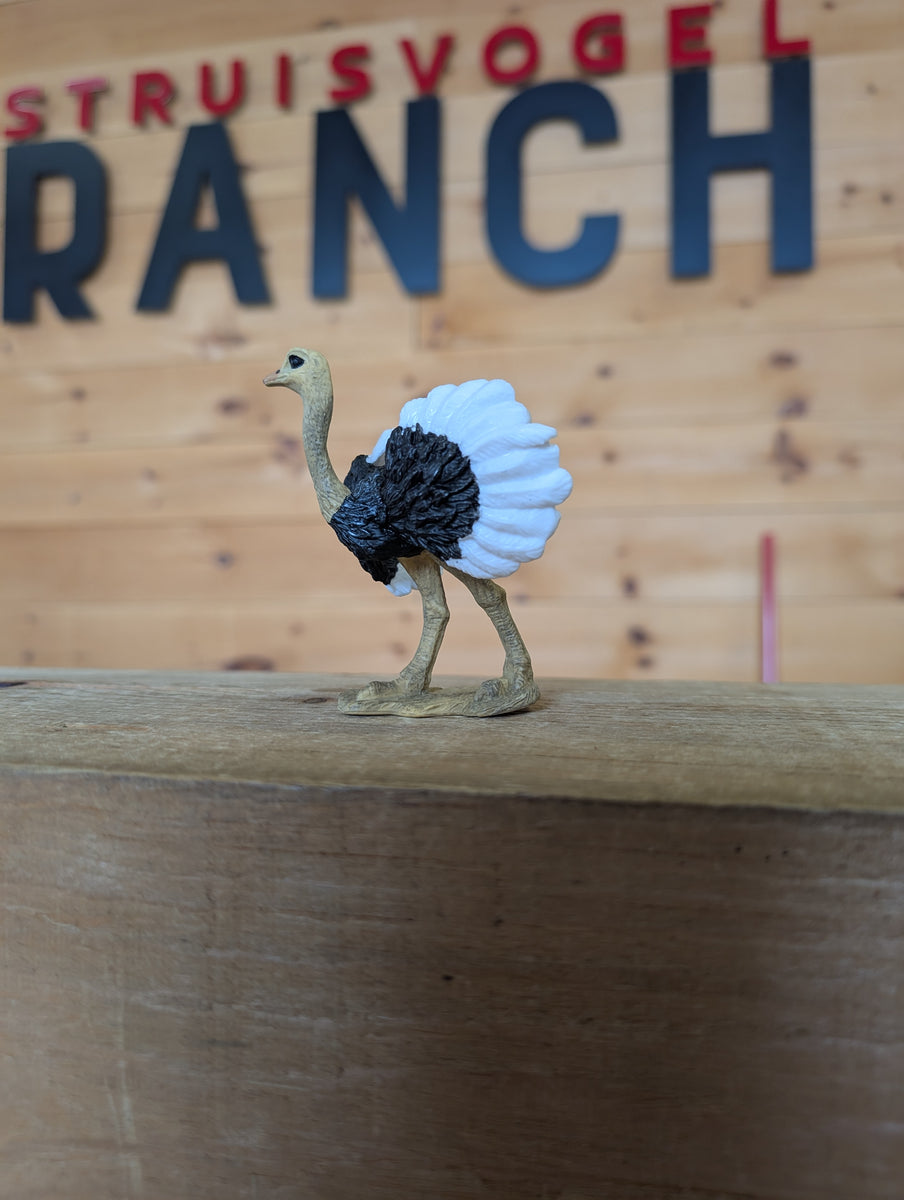 Ostrich figurine – Struisvogel Ranch